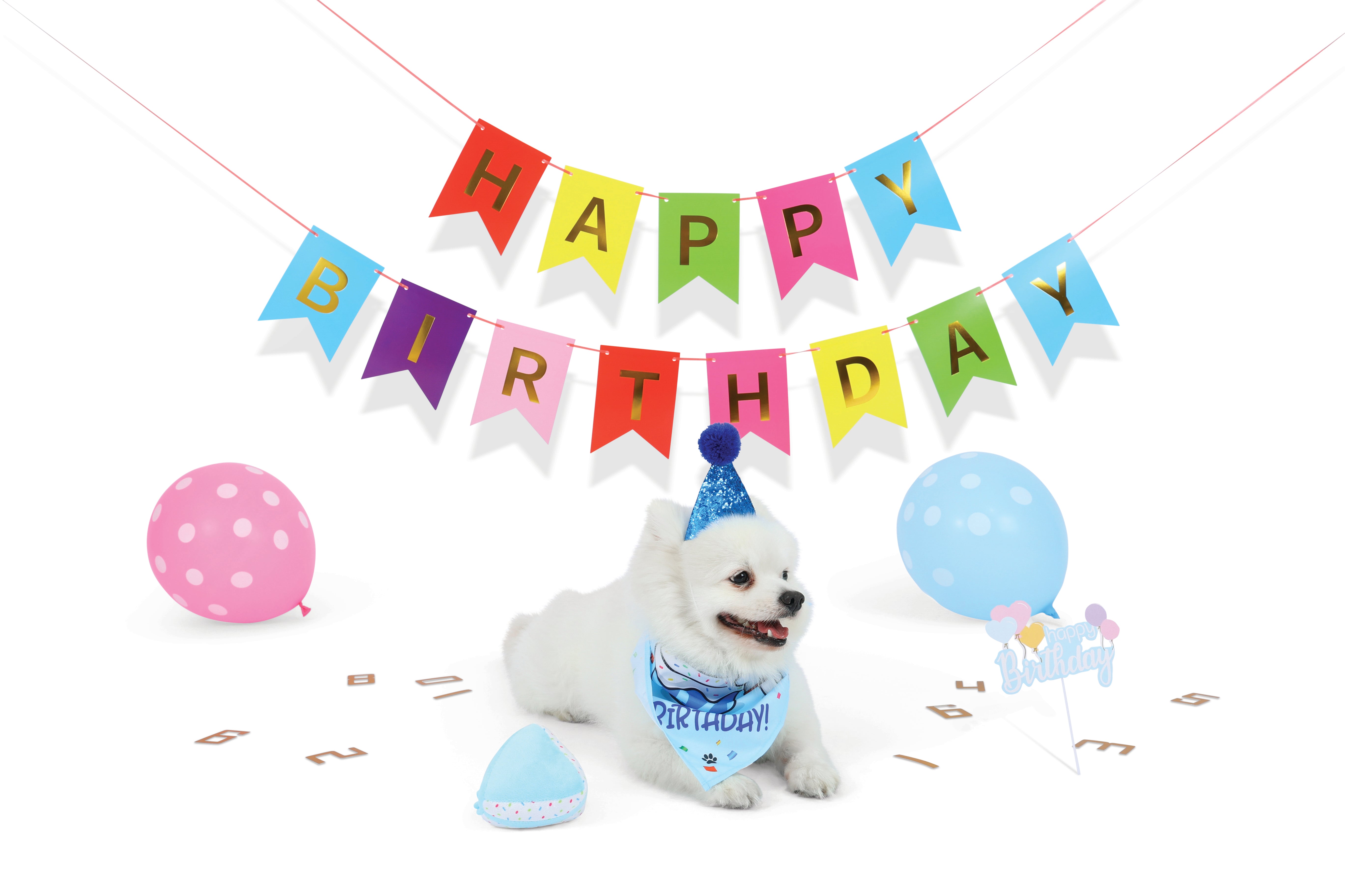 PARTY TIME Dog Gentleman's set – M-PETS