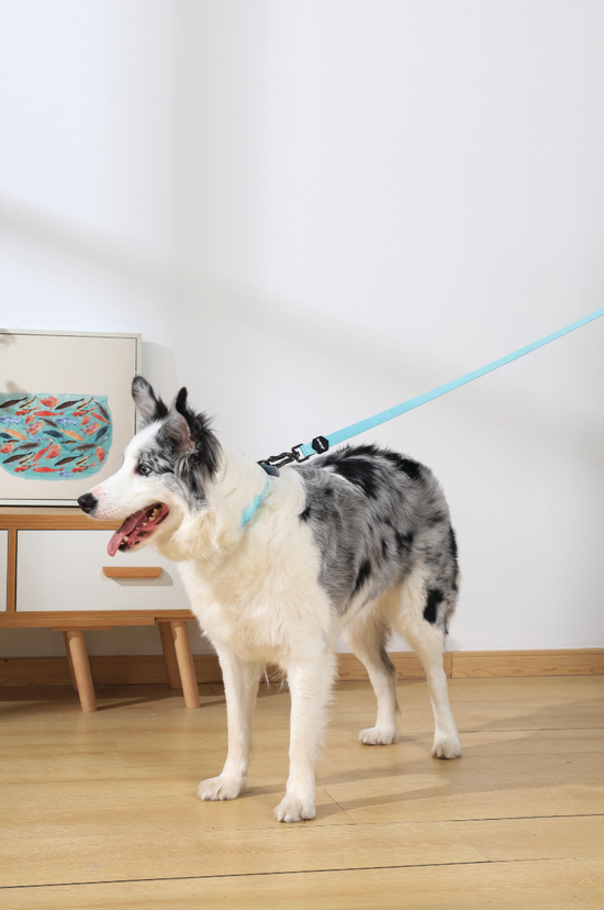 SMARTO M1300 Manual – M-PETS