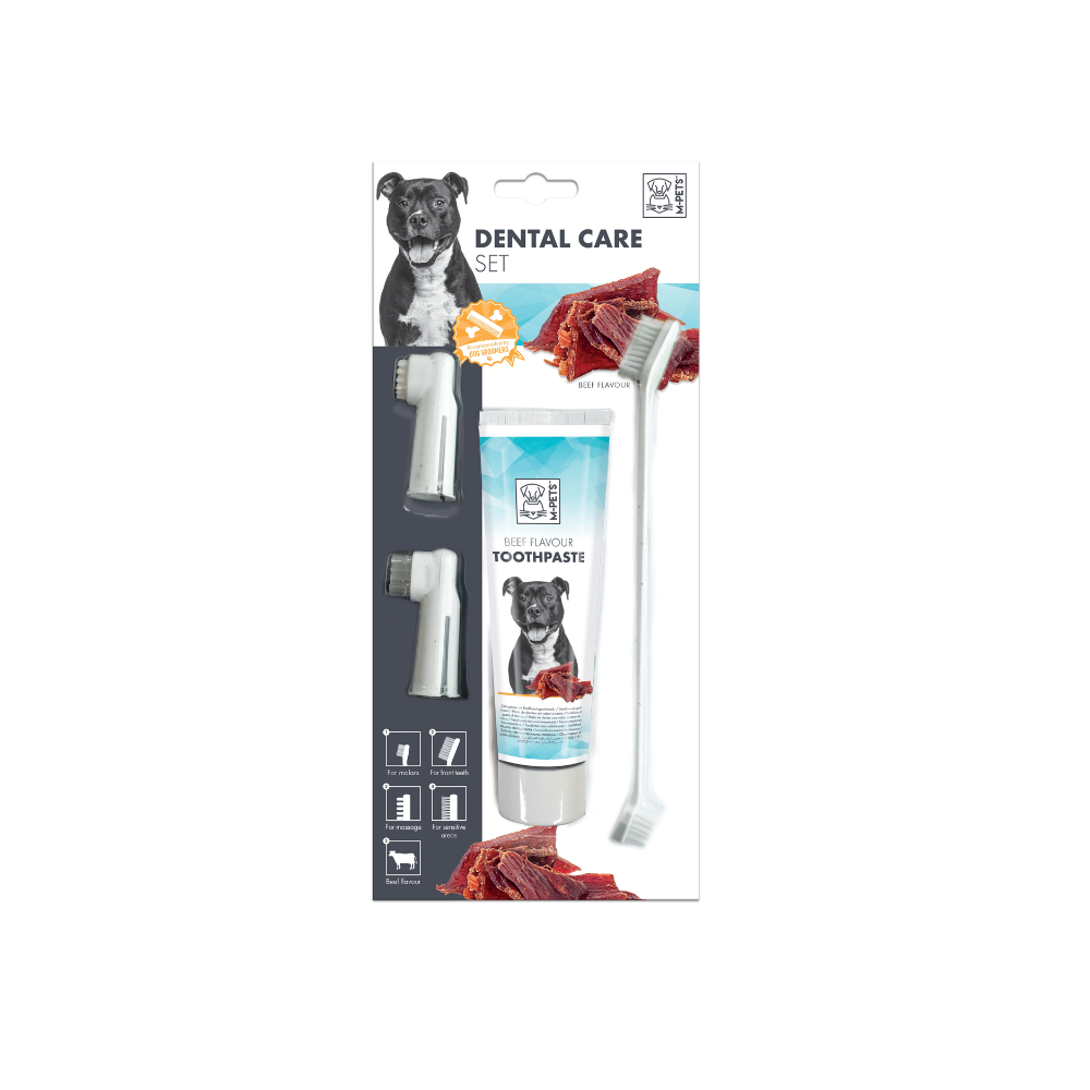 DENTAL CARE SET - Beef flavor Toothpaste Kit – M-PETS